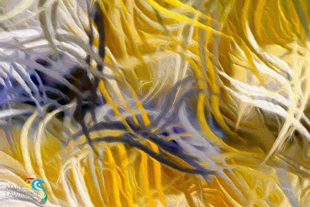 Proverbs 23 17-18 A Future Hope For You. Mark Lawrence Christian Art