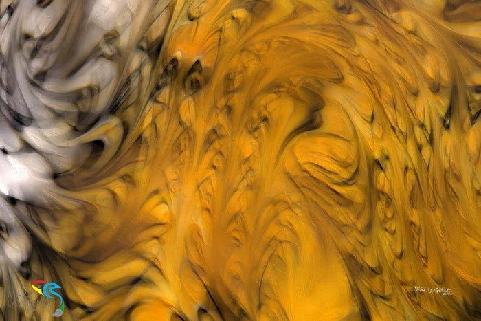Psalm 18:10. Wings Of The Wind. Mark Lawrence Christian Modern Art